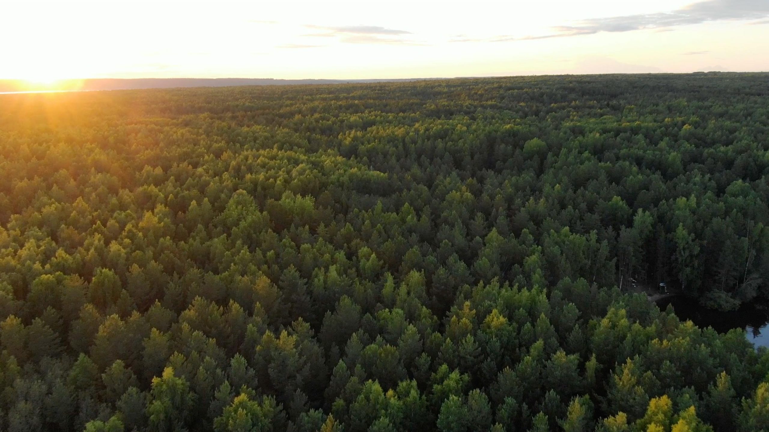 Goldcrest Land & Forestry - Chartered Land & Forestry Agents